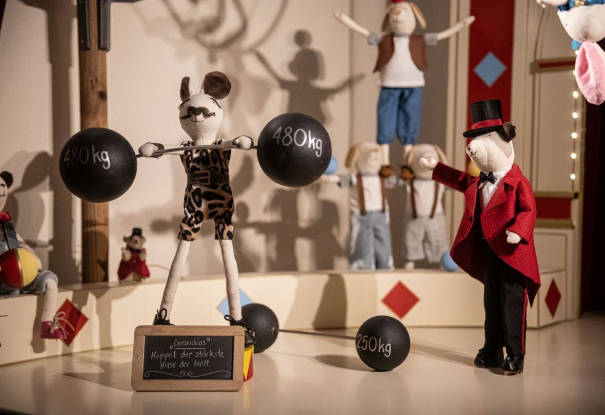 Display windows - Circus